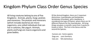 Animal Kingdoms | PPTX | Biological Sciences | Science