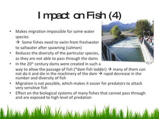 Tina ecology dams | PPT