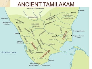 Tinai concept | PPTX