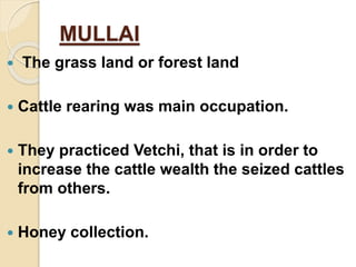 Tinai concept | PPTX