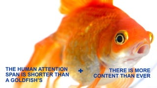 Tina Starkey - Micro Budget Mega Impact | PPT | Free Download