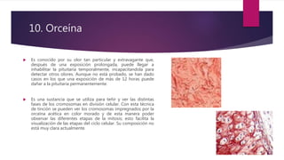 TINCIÓN EN LA HISTOLOGIA.pptx