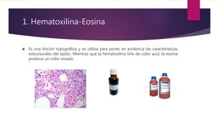 TINCIÓN EN LA HISTOLOGIA.pptx