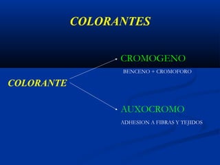 Tinciones procedimientos | PPT