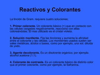 Tinciones Diferenciales Aspectos Tecnicos | PPT