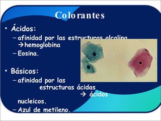 Tinciones En El Lab De Analisis Clinicos | PPT