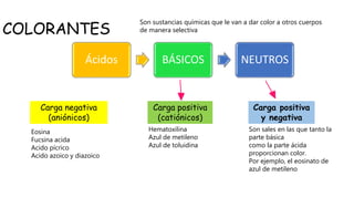 Tinciones Histologicas.pptx