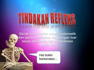 Tindakbalas refleks | PPTX
