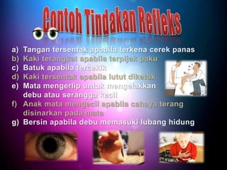 Tindakbalas refleks | PPTX