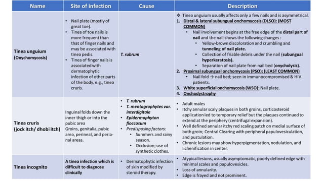 TINEA.pptx | Skin and Dermatology | Diseases and Conditions