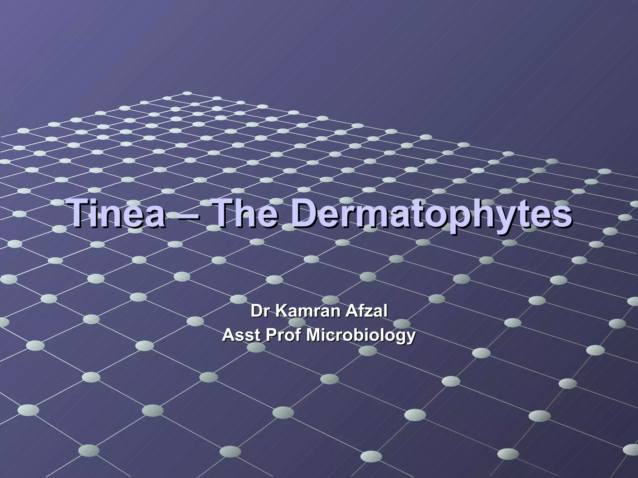 Tinea dermatophytes | PPT