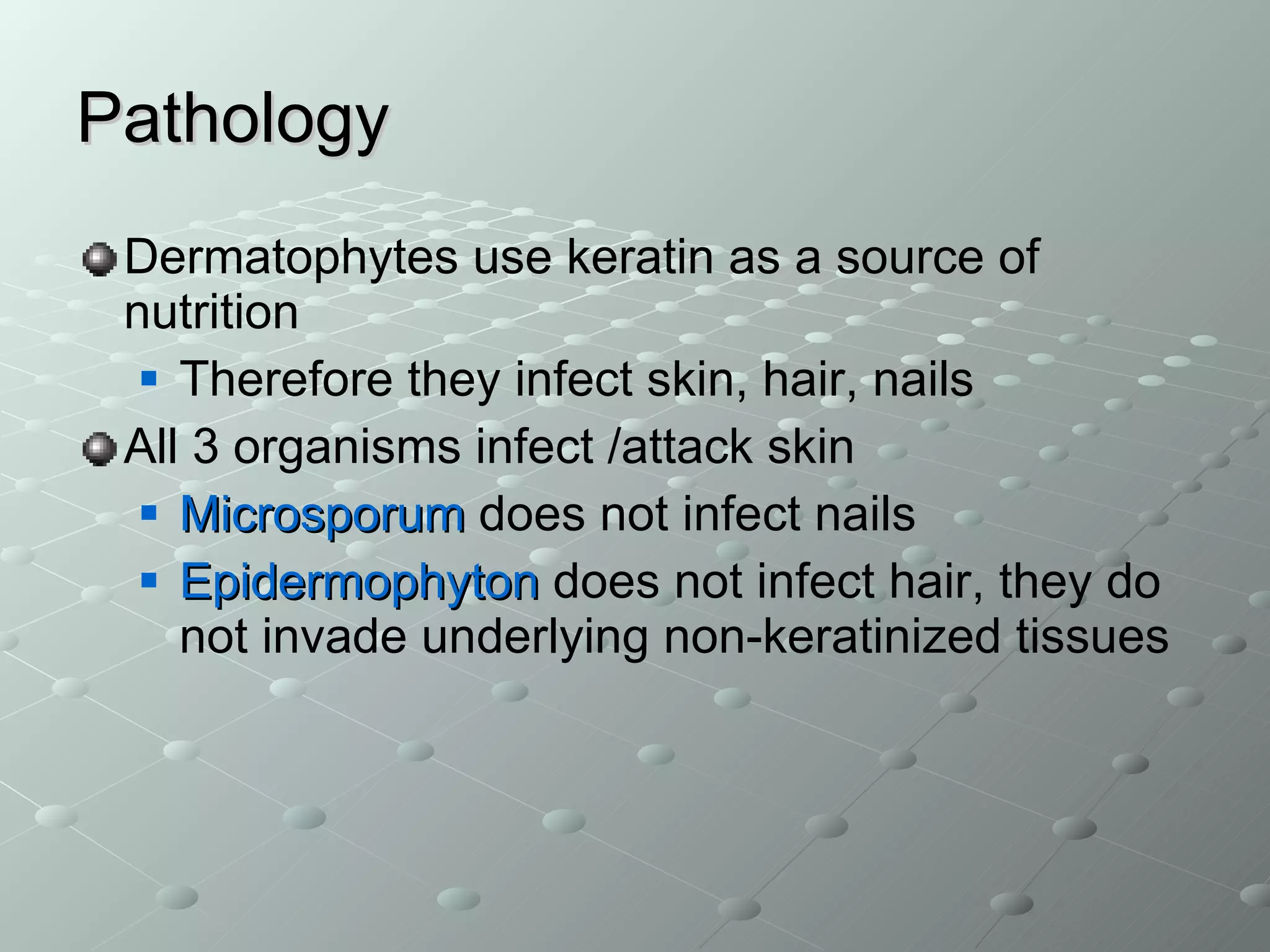 Tinea dermatophytes | PPT