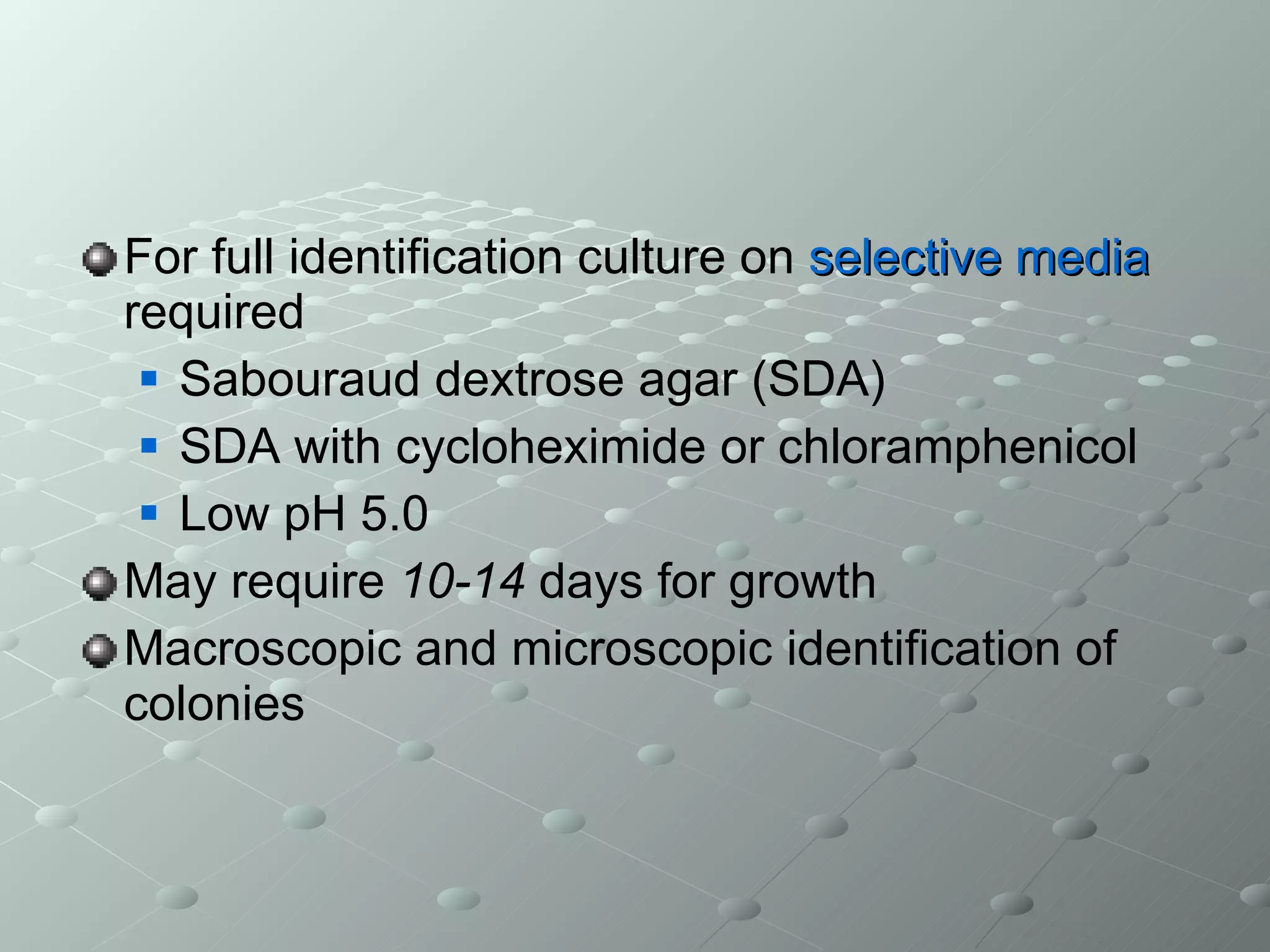 Tinea dermatophytes | PPT