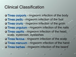 Tinea dermatophytes | PPT