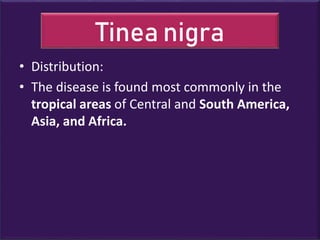 Tinea nigra (Hortaea werneckii)ppt .pptx