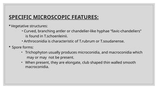 TINEA UNGUIUM in dermatology venerology ppt | PPTX