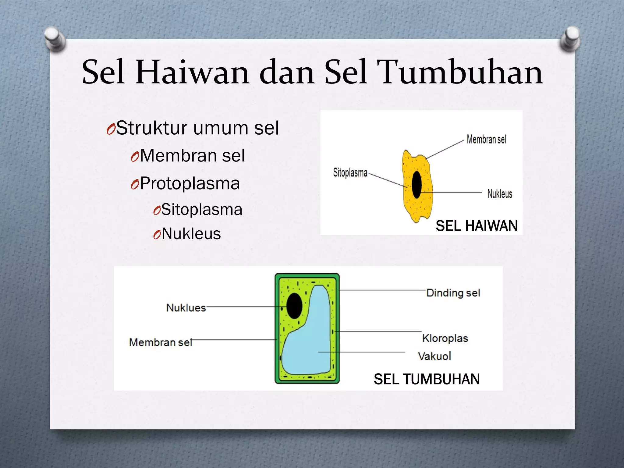 Tingkatan 1 (bab 2) : sel sebagai unit asas hidupan | PDF