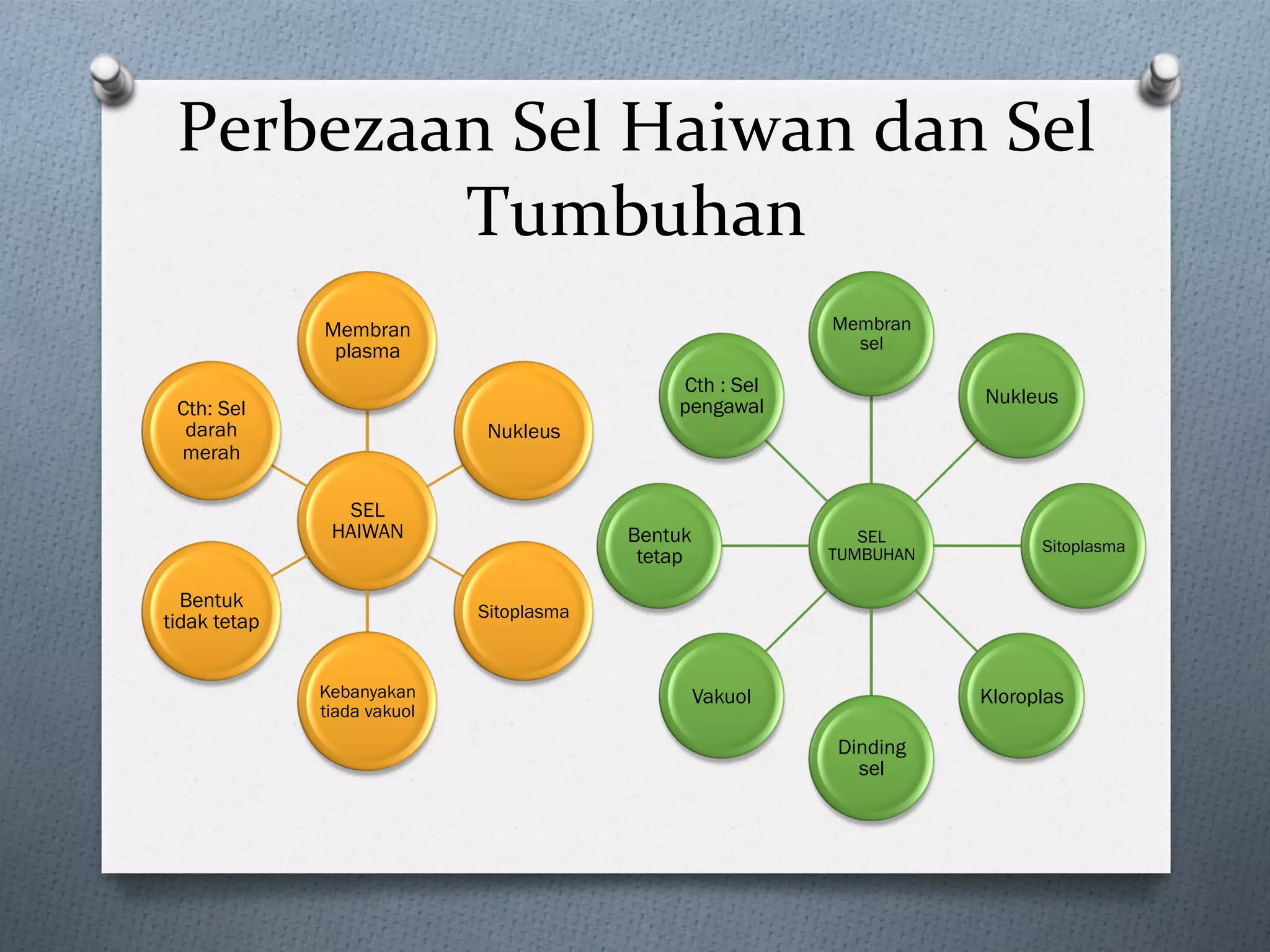 Tingkatan 1 (bab 2) : sel sebagai unit asas hidupan | PDF