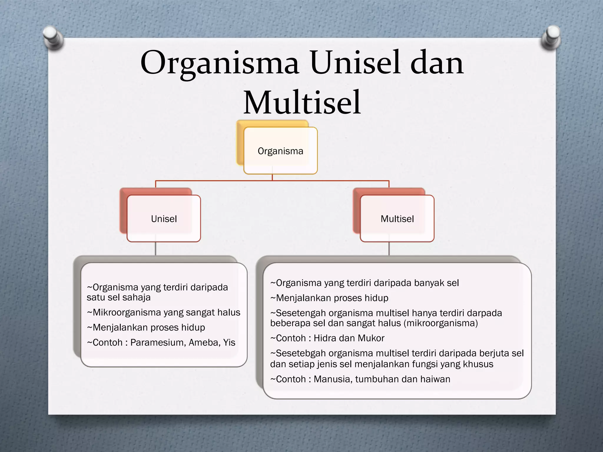 Tingkatan 1 (bab 2) : sel sebagai unit asas hidupan | PDF