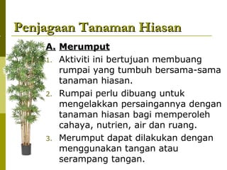 Ting 2 bab 5 tanaman hiasan | PPT