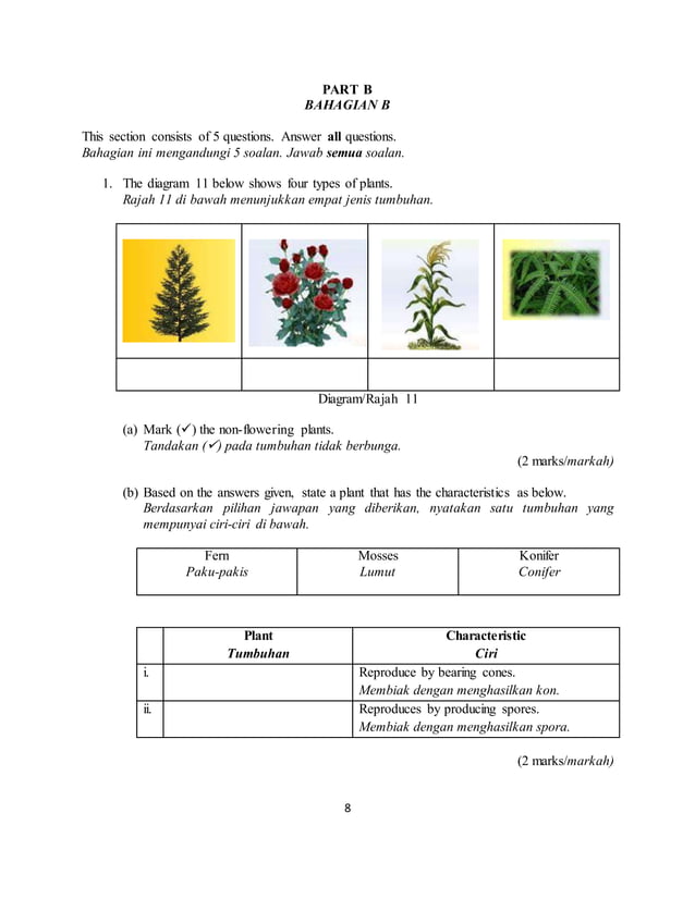 Ting 2 PART B PAT 2019.doc