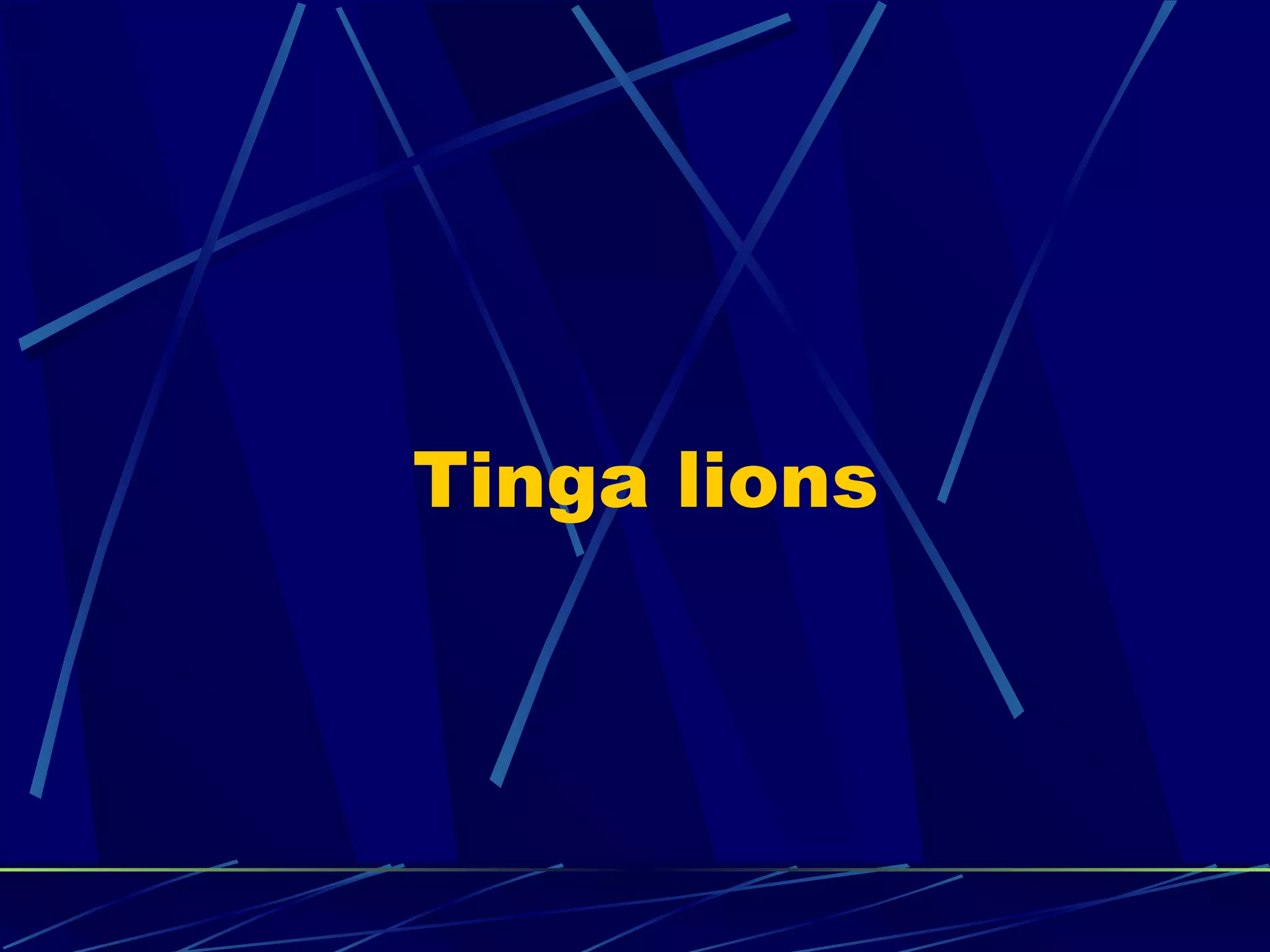 Tinga Lions | PPT