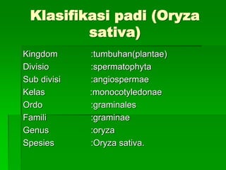 tingkatan-takson-dalam-klasifikasi.ppt