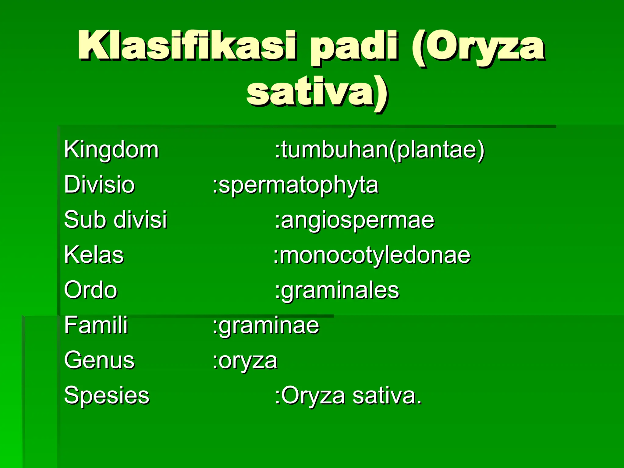 tingkatan-takson-dalam-klasifikasi...ppt