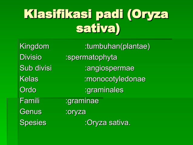 tingkatan-takson-dalam-klasifikasi...ppt