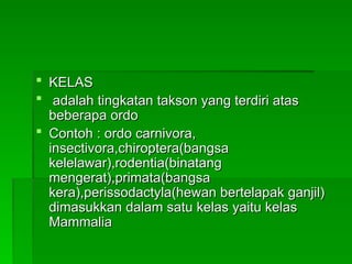 tingkatan-takson-dalam-klasifikasi...ppt
