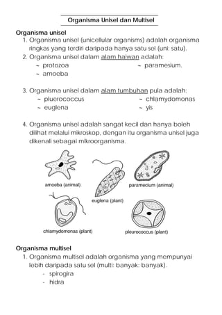 Tingkatan 1 sains bab 2 sel sebagai unis asas hidupan (nota) | PDF
