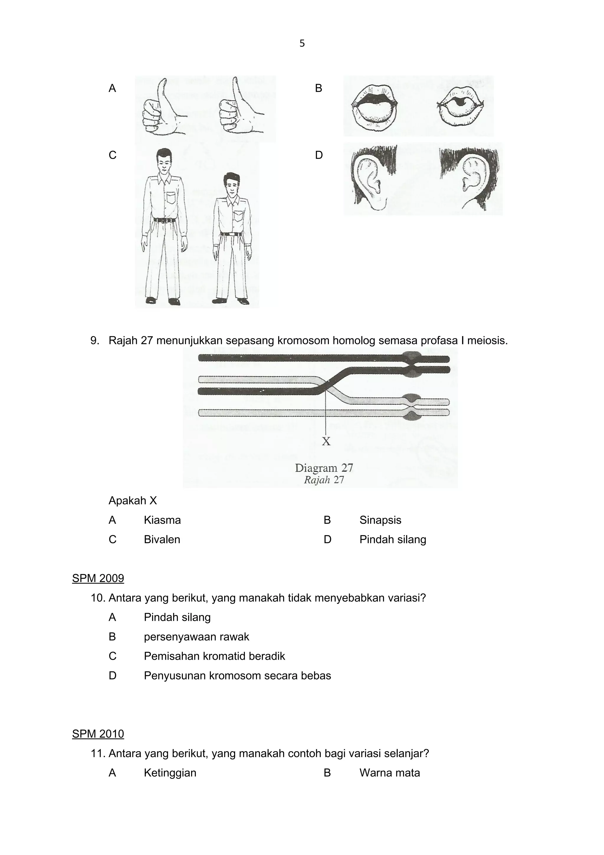Tingkatan 5 bab 6 variation | PDF