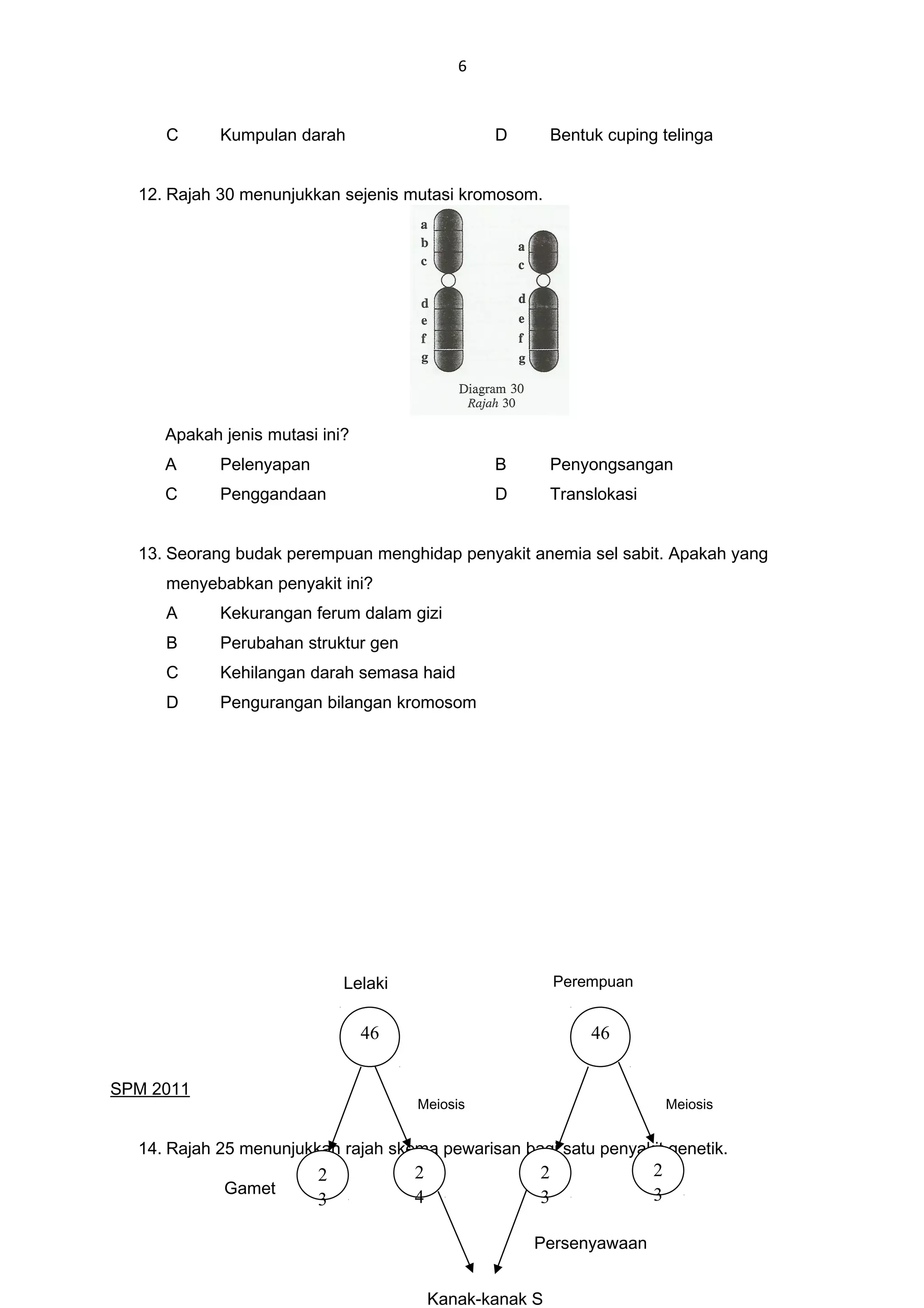 Tingkatan 5 bab 6 variation | PDF
