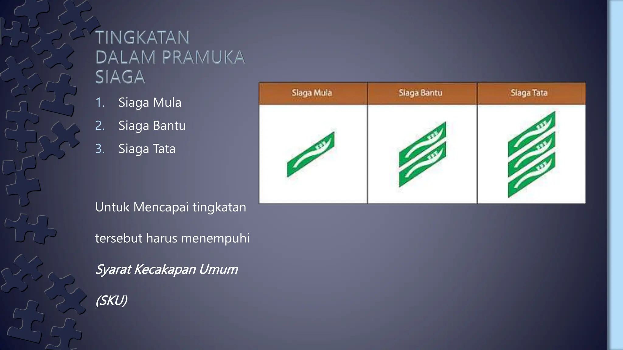 Tingkatan/Golongan dalam Gerakan Pramuka | PPTX