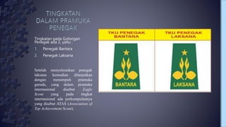 Tingkatan/Golongan dalam Gerakan Pramuka | PPTX