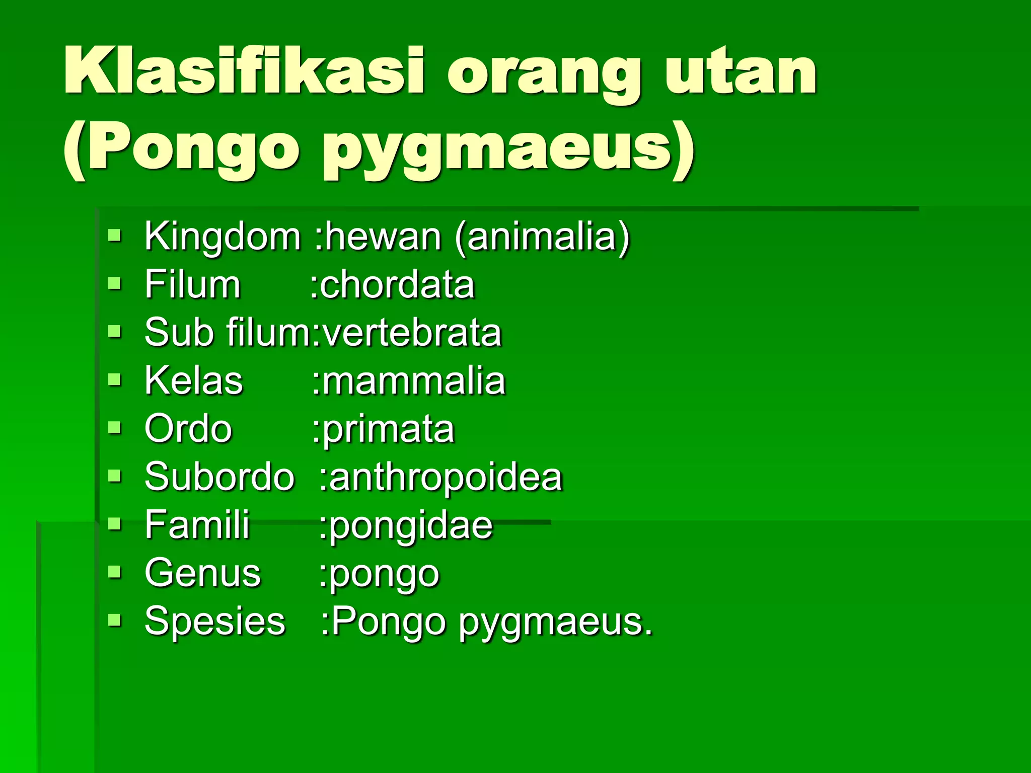 tingkatan takson.ppt