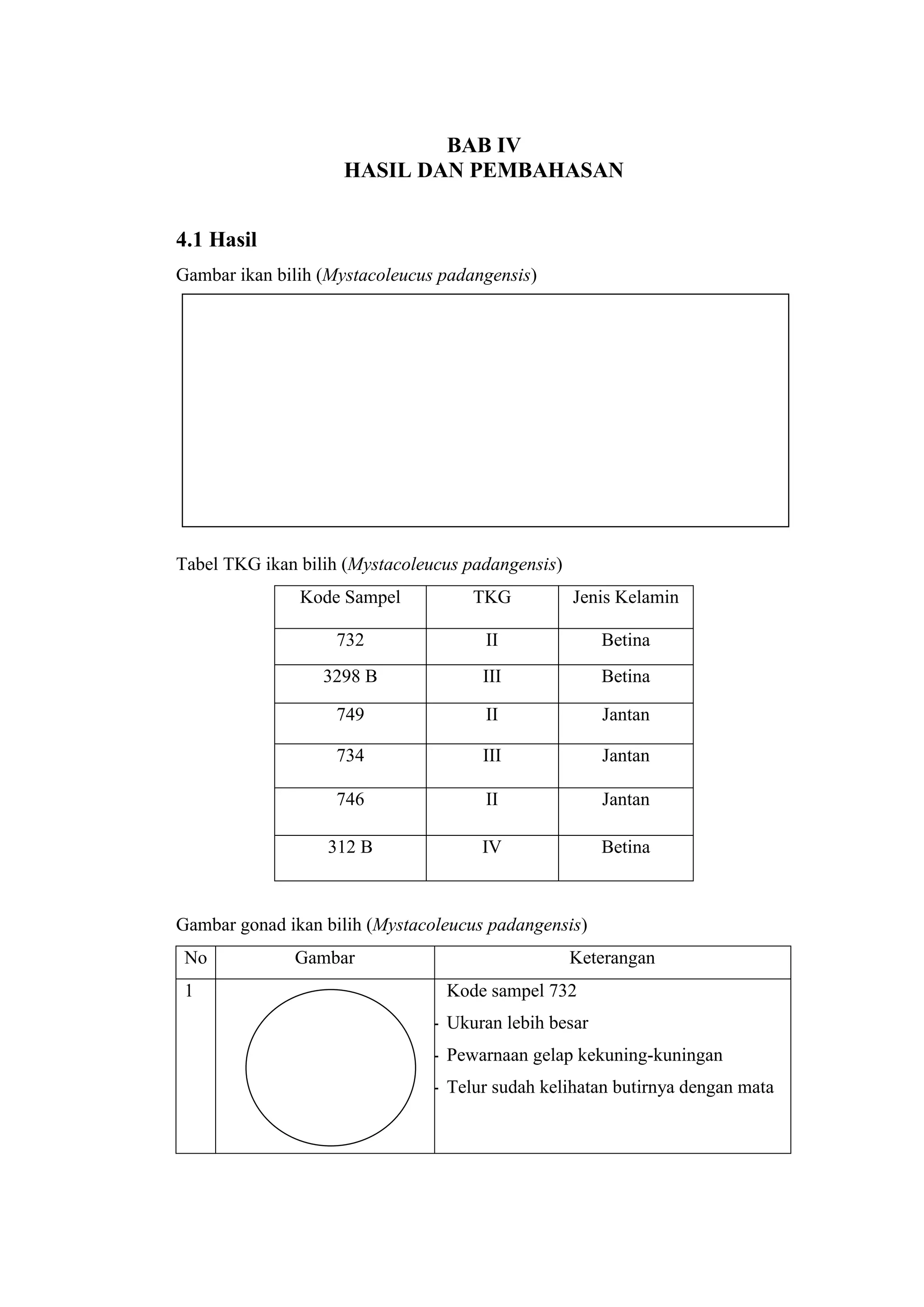 Tingkat kematangan gonad ikan bilih (Mystacoleucus padangensis) | DOCX