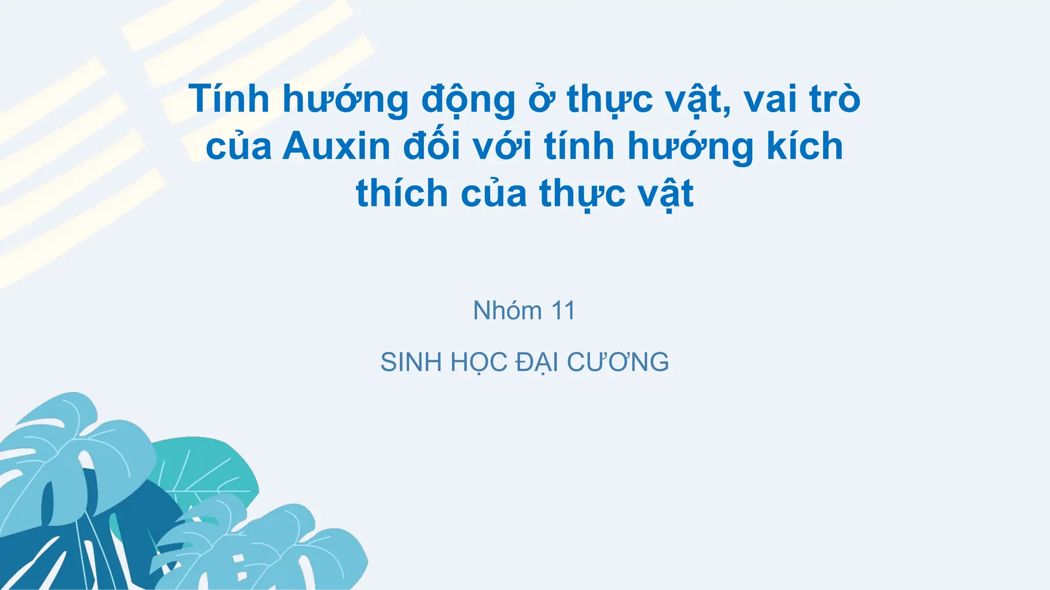 Tinh huong đong o thuc vat, vai tro cua Auxin đoi voi tinh huong kich ...