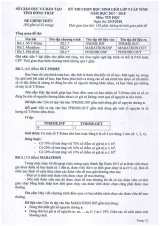 De thi cap tinh mon tin hoc - dong thap | PDF