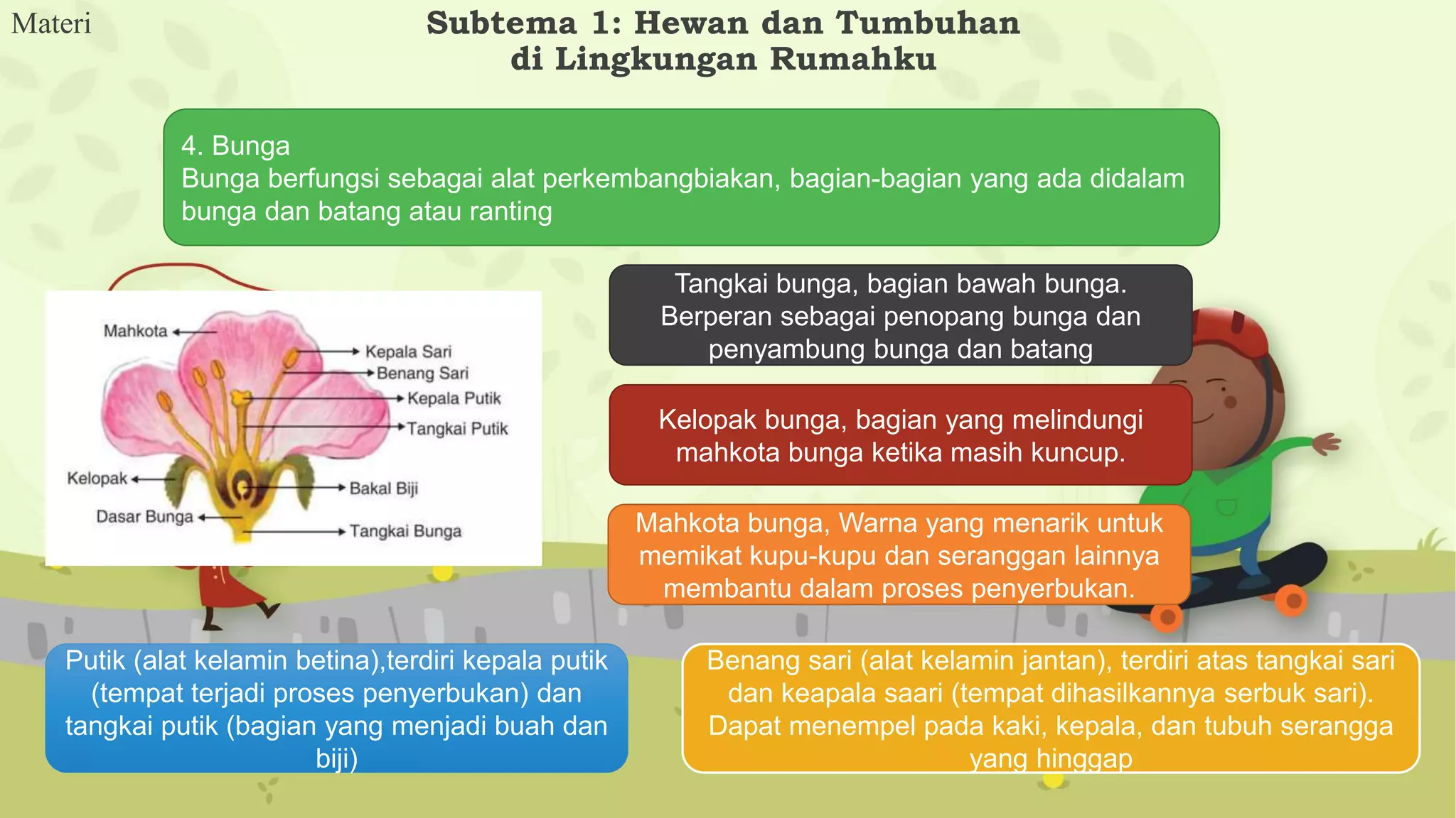 Bagian-Bagian Tumbuhan Dan Fungsinya | PPTX