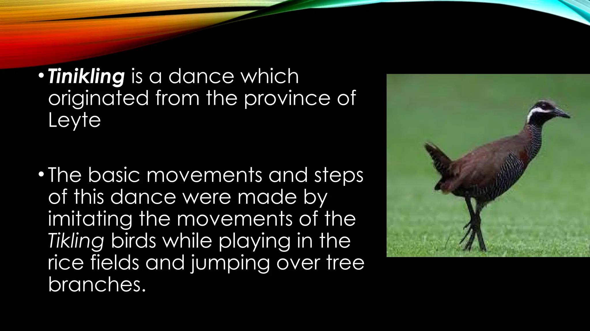 TINIKLING-a philippine folkdance2025.pptx