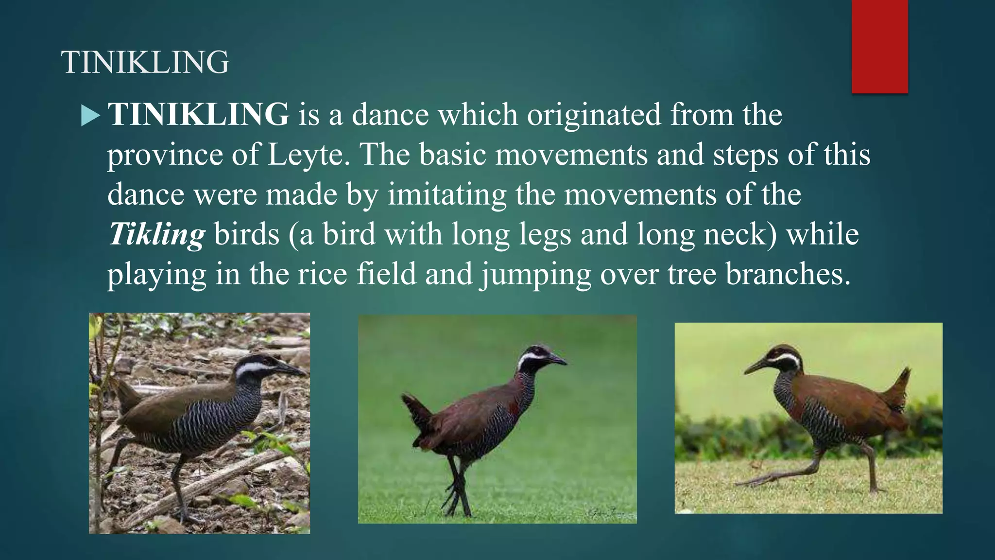 TINIKLING GRADE 7 HOPE.pptx