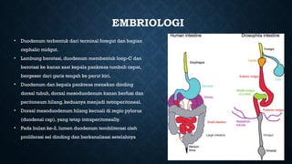 Tinjauan komprehensif Atresia duodenal.pptx