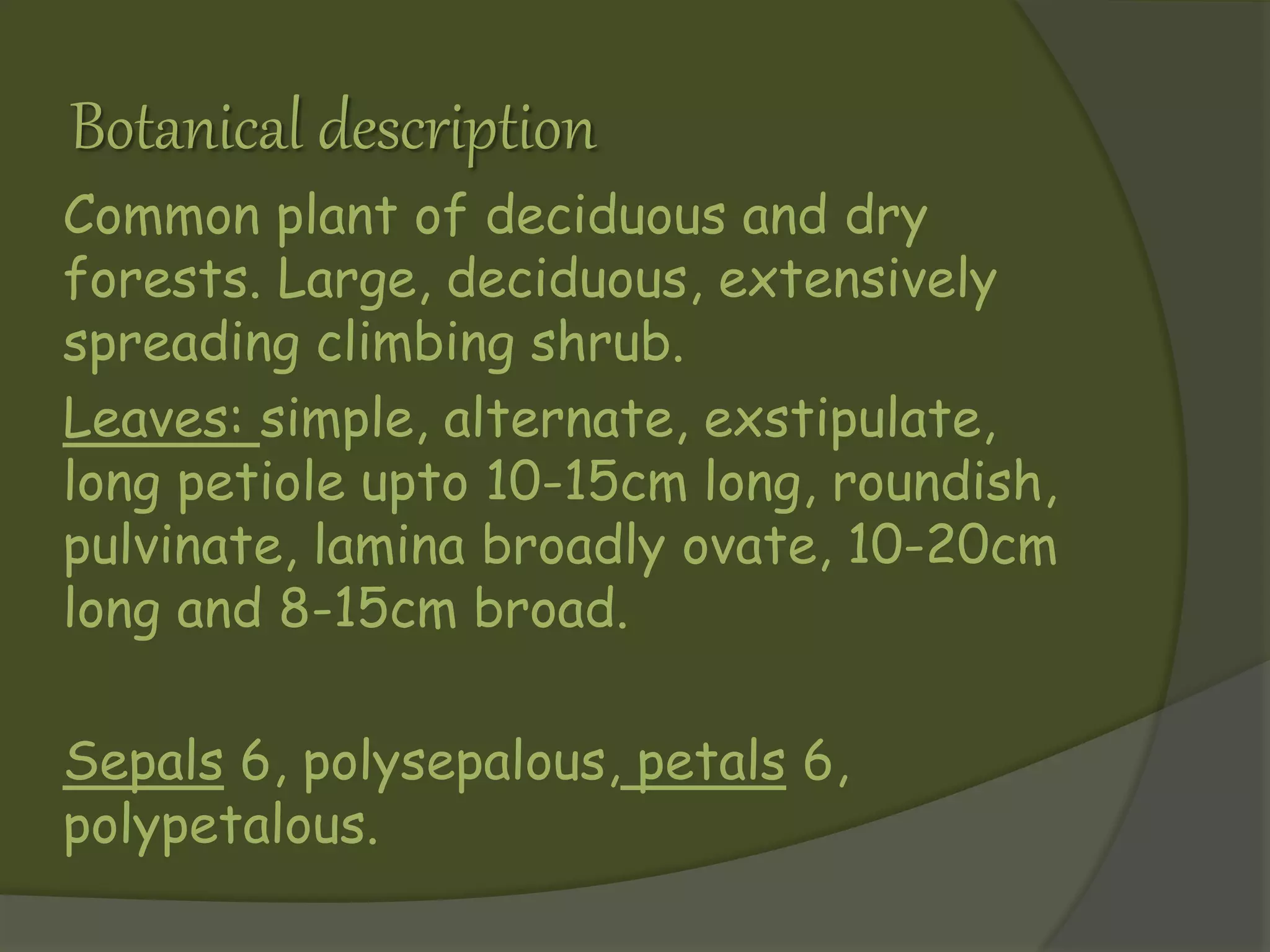 Tinospora cordifolia | PPTX