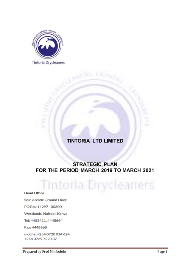 Tintoria strategic plan 2 2019-2024 | PDF