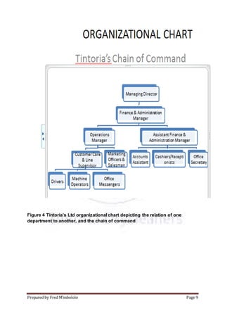 Tintoria strategic plan 2 2019-2024 | DOCX