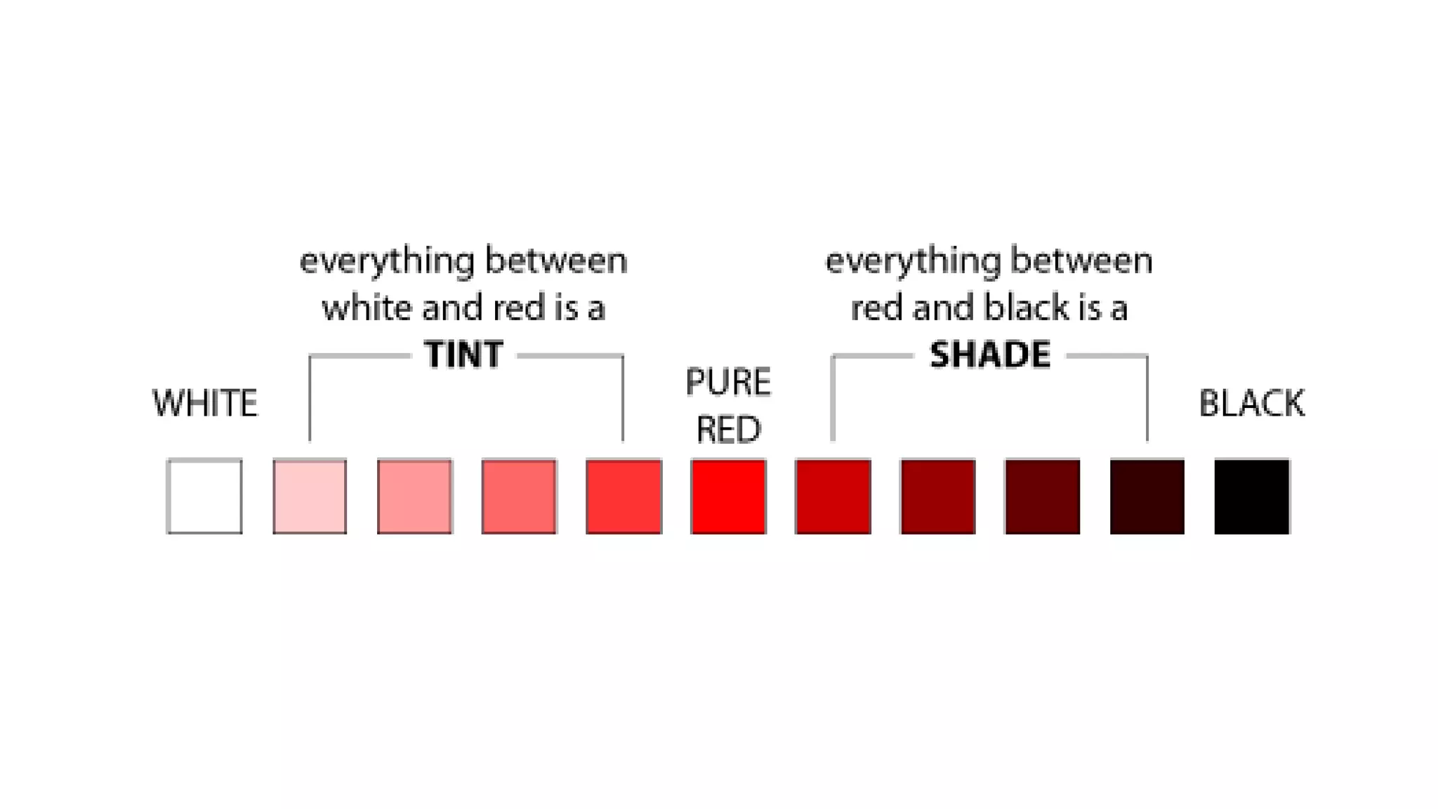 Tints and Shades | PPTX