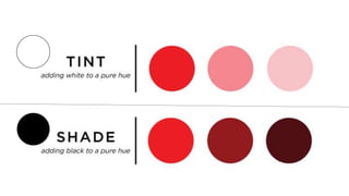 Difference Between Tint And Shade