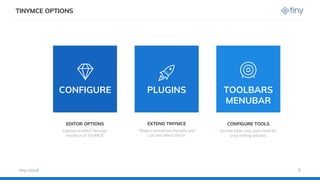 Introduction to TinyMCE Session #2 Customizing TinyMCE | PPT