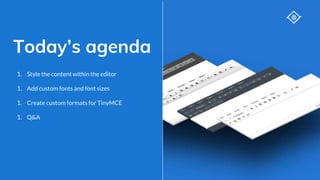 Introduction to TinyMCE Session #3 Customizing Styles | PPT